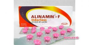 Suplemen Makanan Ibu Hamil (Alinamin-F): Kegunaan, Dosis, Harga dan ...
