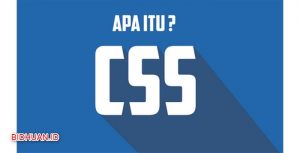Apa Itu CSS : Pengertian, Komponen, Tujuan, Fungsi, Cara Kerja, Manfaat ...