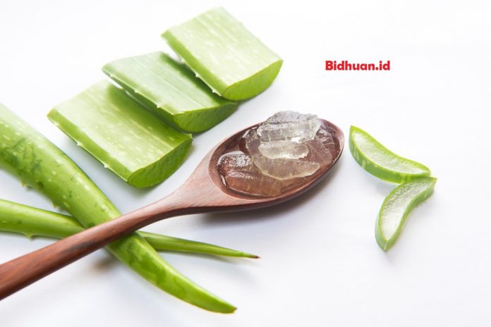 Daftar 5 Jenis Obat Bisul Yang Mujarab Di Dunia - Berbagi Cerita, Opini ...